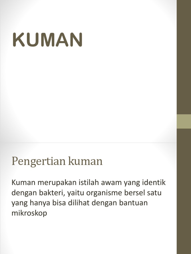 Jenis Kuman Dan Perkembangbiakan | PDF