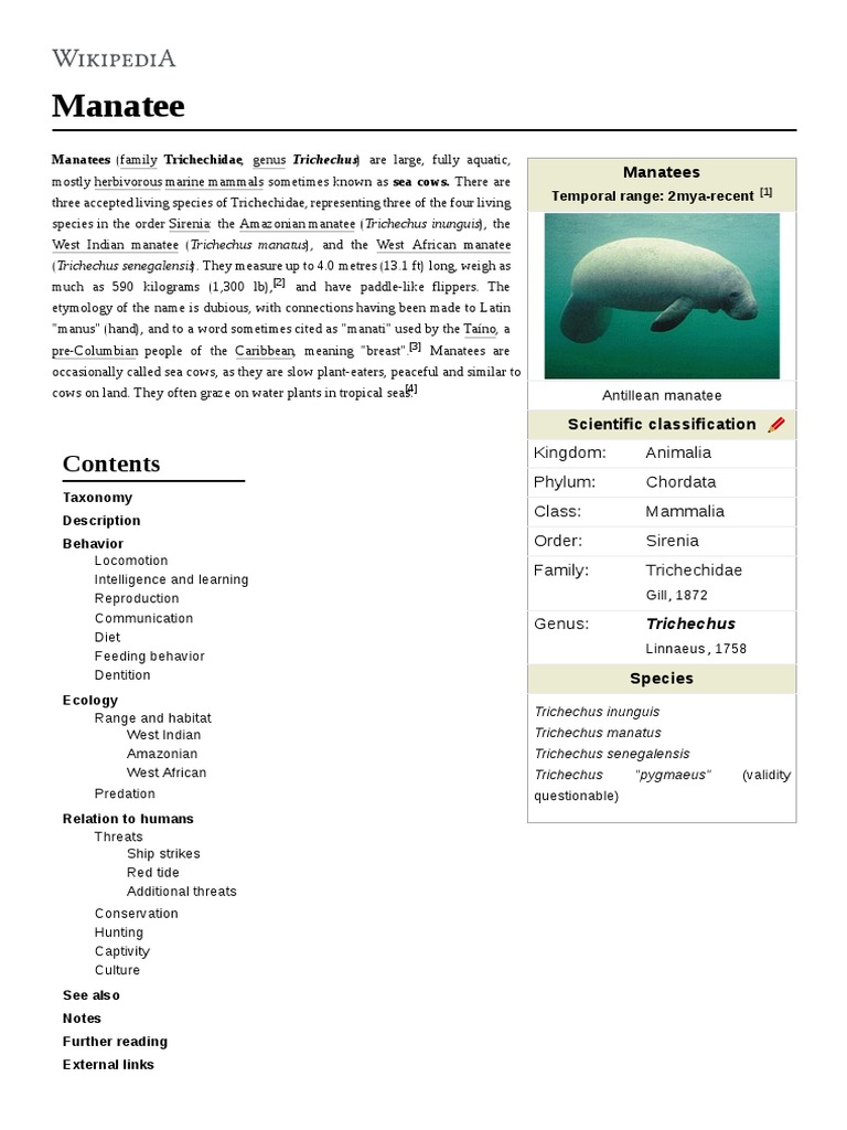 Manatee: Manatees (Family Trichechidae, Genus Trichechus) Are Large ...