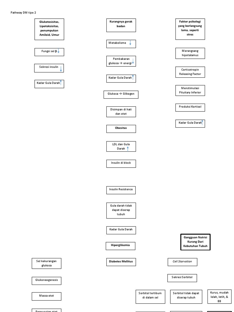 Pathway DM Tipe 2 | PDF