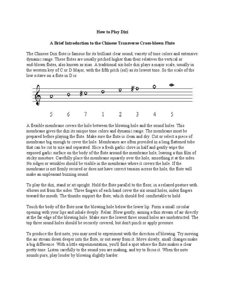 Dizi PDF | PDF | Flute | Pitch (Music)