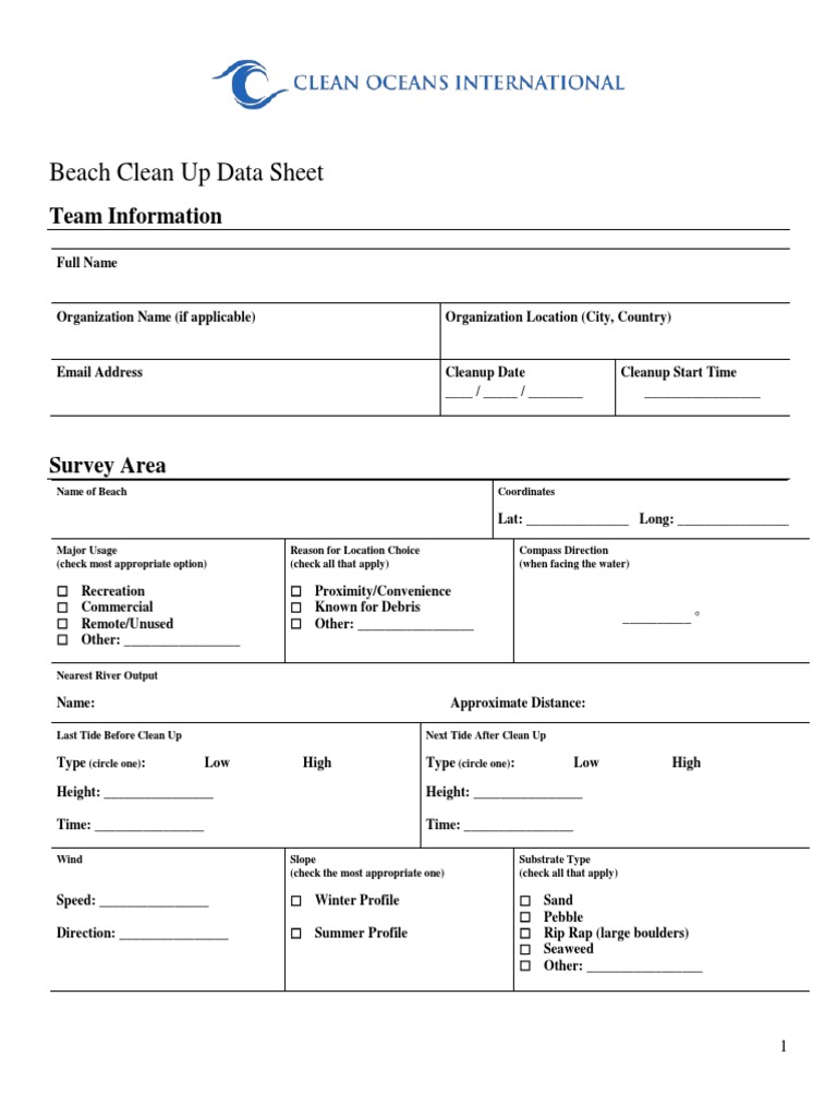 Beach Clean Up Data Sheet: Team Information | PDF | Plastic | Building ...