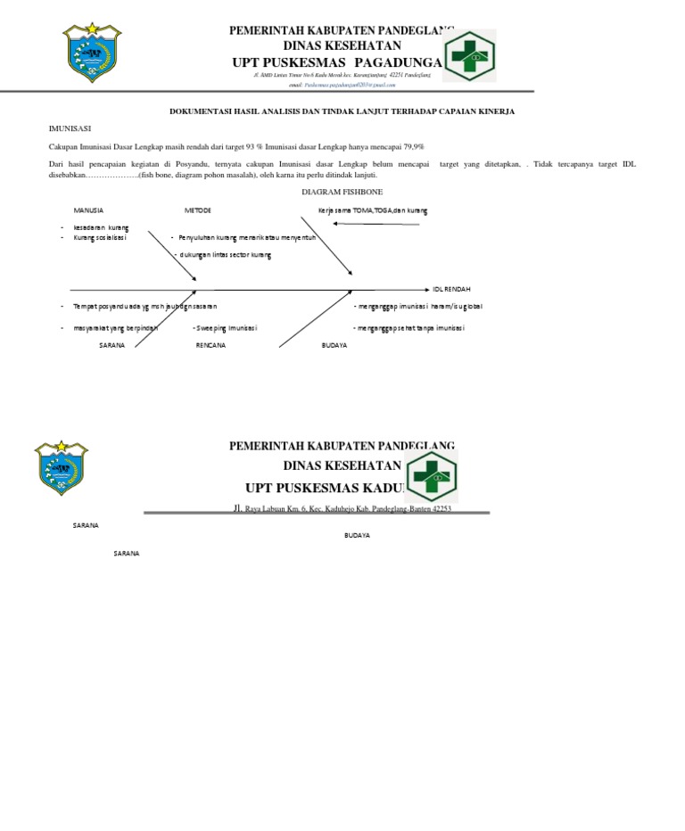 Imunisasi Fish Bone | PDF