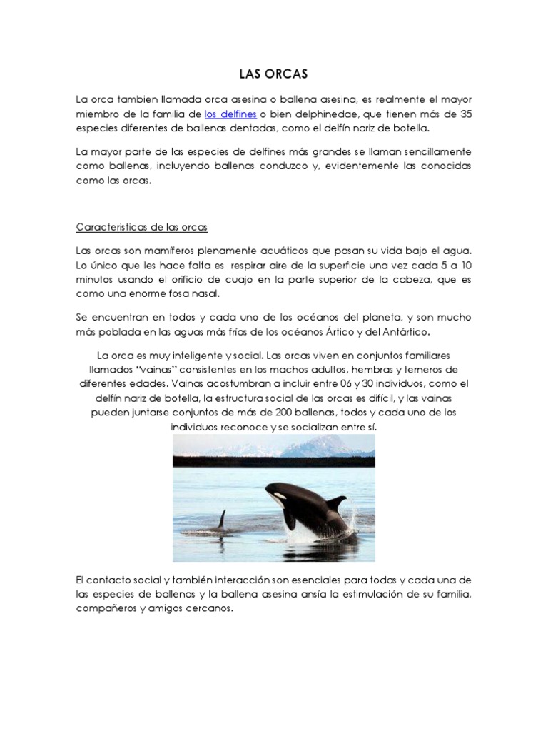 Orcas | PDF | Orca | Pescado
