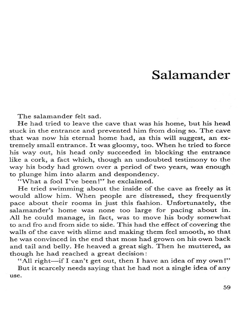 Salamander by Masuji Ibuse | PDF