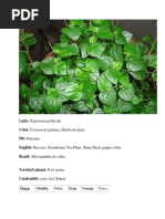 Yoruba Animal Names and Translations | PDF | Organisms | Nature