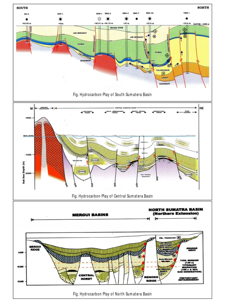 Kumpulan Petroleum System of Basin PDF | PDF | Art