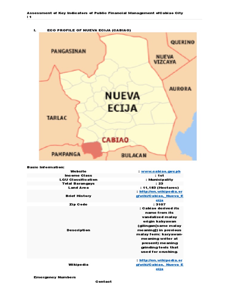 Cabiao Nueva Ecija: Profile & Insights | PDF | Agriculture