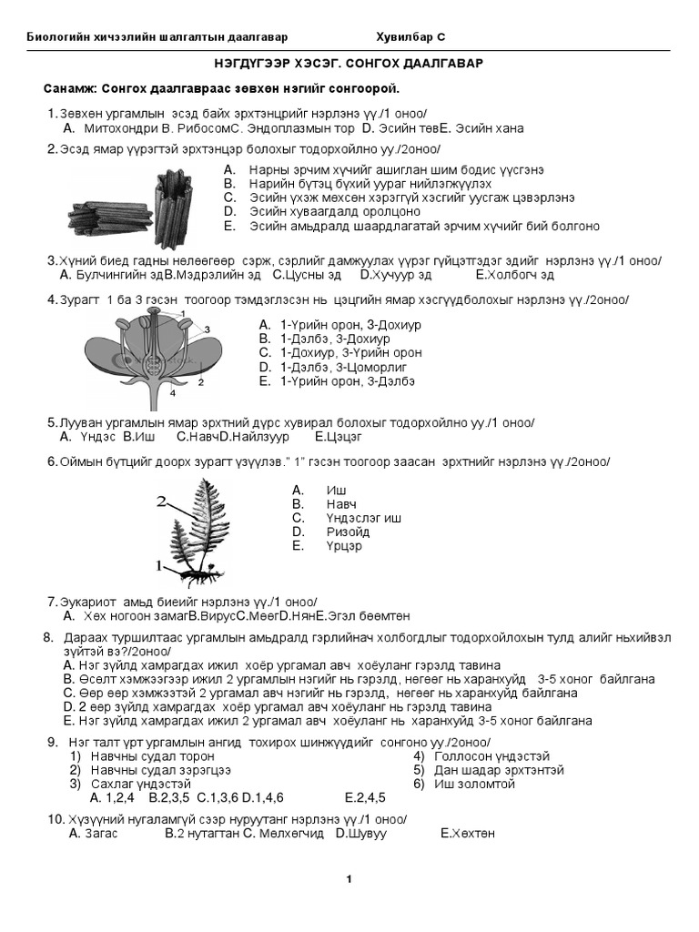 Bio C | PDF