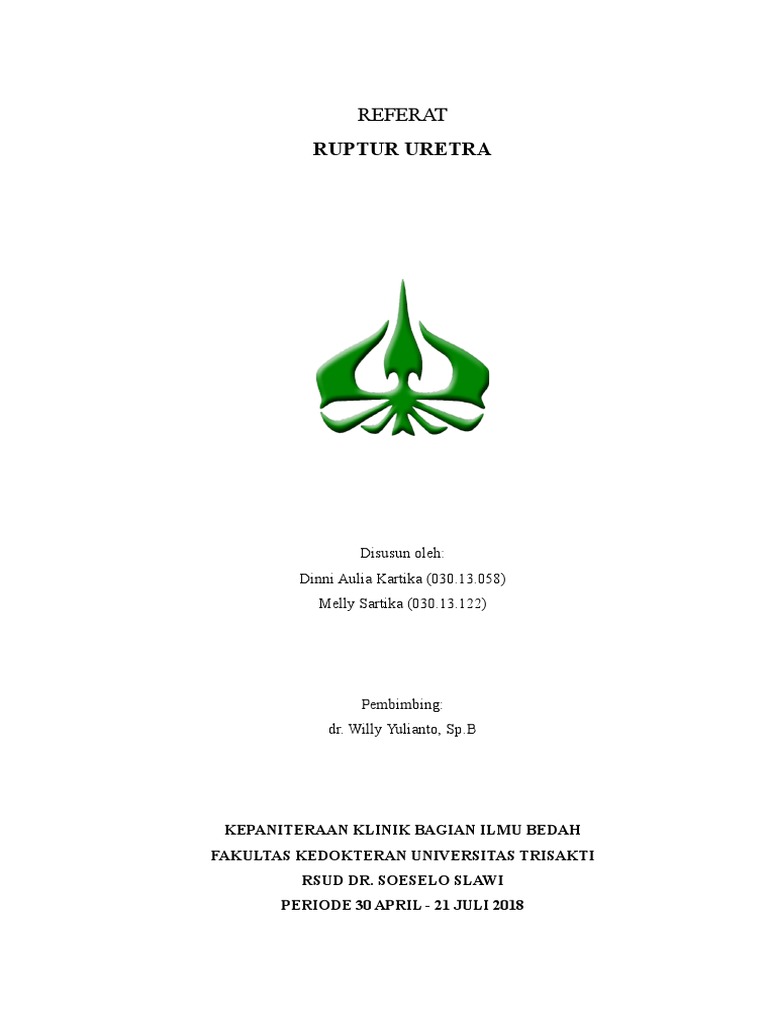 Ruptur Uretra: Diagnosis dan Tatalaksana | PDF