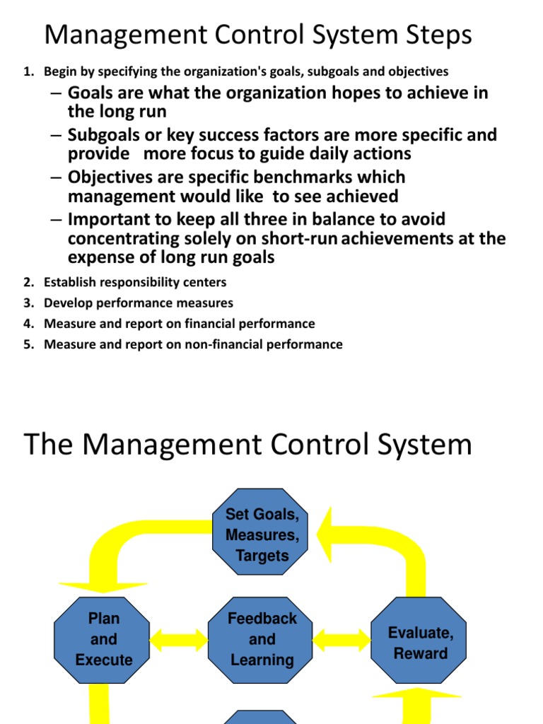 Mangement Control System | PDF | Business