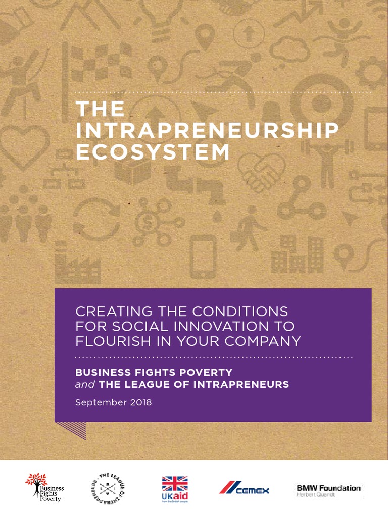 The Intrapreneurship Ecosystem | PDF | Sustainability | Social ...