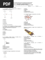 Diapositiva tema 10 biología celular | PDF | Retículo endoplásmico | Biología Molecular