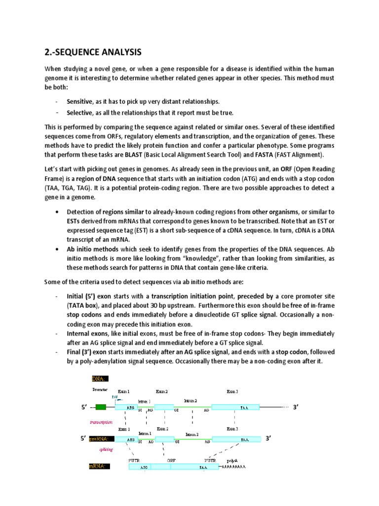 02.-Sequence Analysis PDF | PDF | Sequence Alignment | Blast