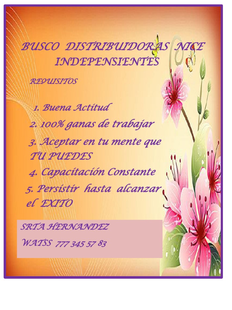 Andy Nice | PDF | Crecimiento personal y profesional