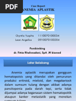 Anemia Normositik Normokrom | PDF