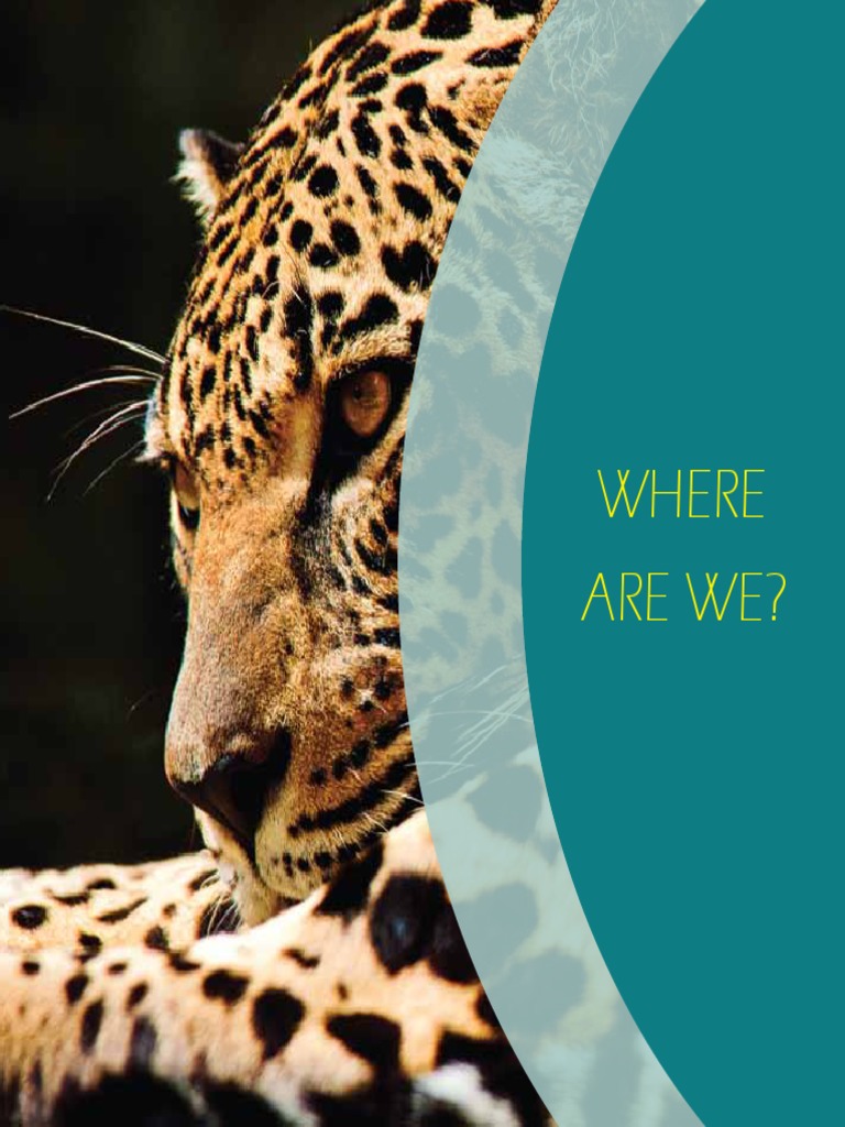 Where Are We | PDF | Environmental Social Science | Natural Environment