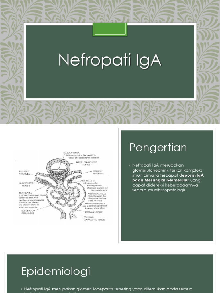 Nefropati IgA: Gejala, Diagnosis, dan Terapi | PDF