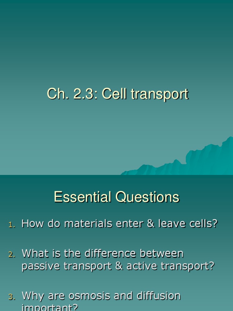 Cell Transport Revision | PDF | Cell Membrane | Osmosis