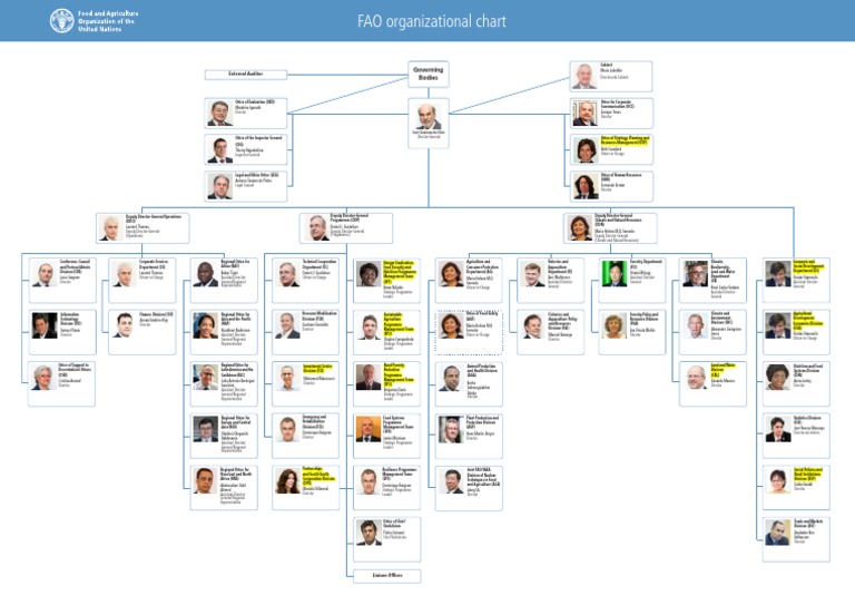 FAO Food and Agriculture Organisation - Organigram | Food And ...
