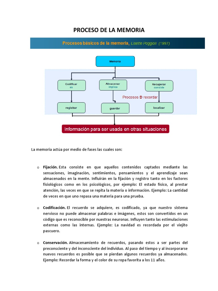 Fases Del Proceso de Memoria | PDF