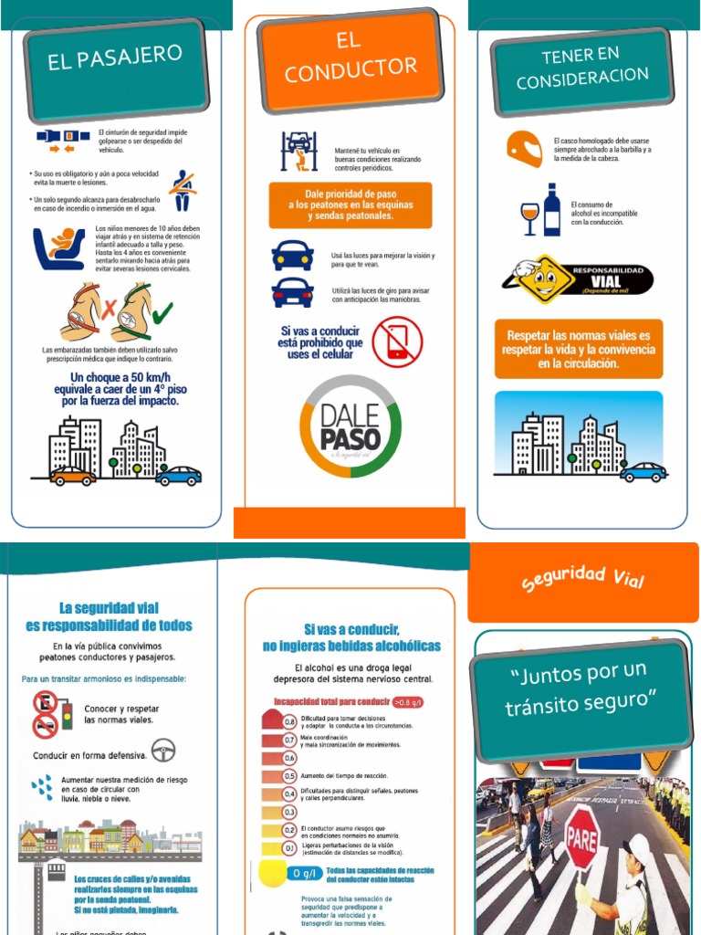 Triptico de Seguridad Vial | PDF