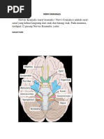 Structures Passing Through The Foramens of Skull | PDF | Human Head And ...