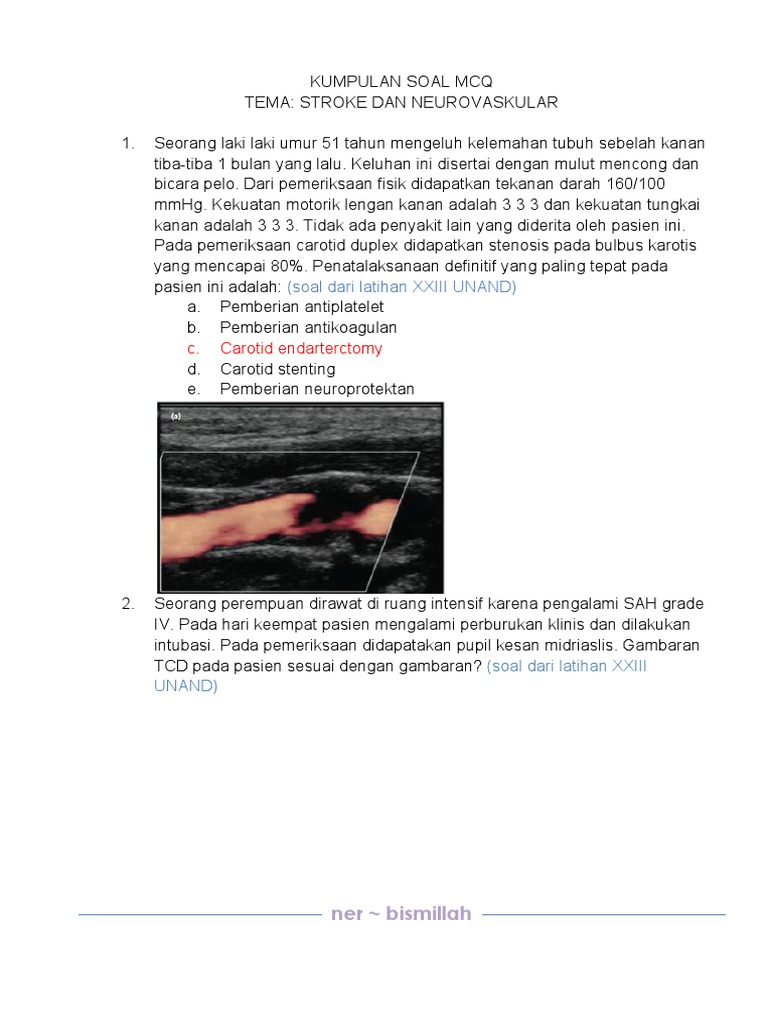 !04. Neneila MCQ Stroke Dan Vaskular | PDF