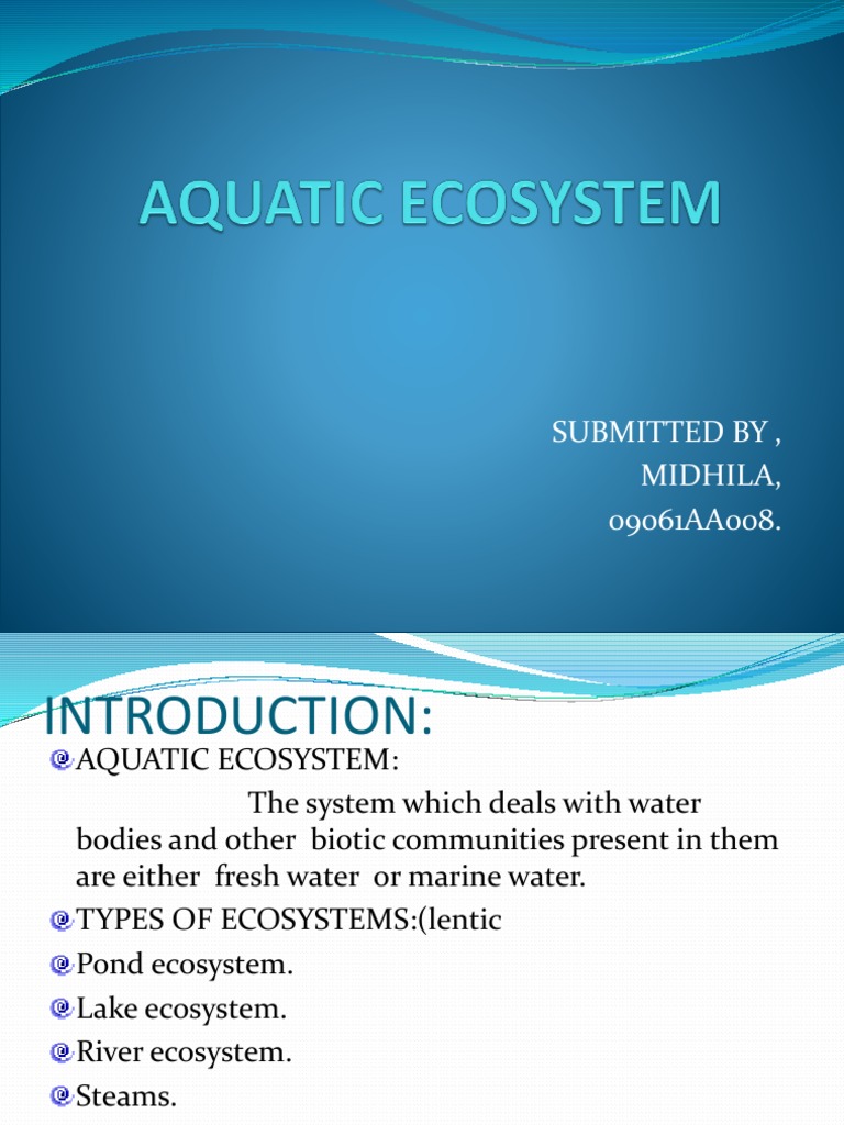 Aquatic Ecosystem | PDF | Lake | Aquatic Ecosystem