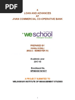 Finance Mba Project Report | PDF | Banks | Loans
