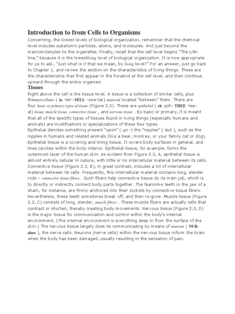 Introduction To From Cells To Organisms | PDF | Tissue (Biology ...