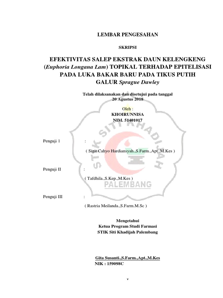 LEMBAR PENGESAHAN Skripsi | PDF