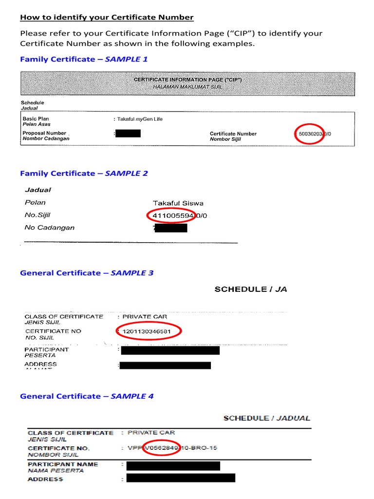 Family Certificate - SAMPLE 1 | PDF