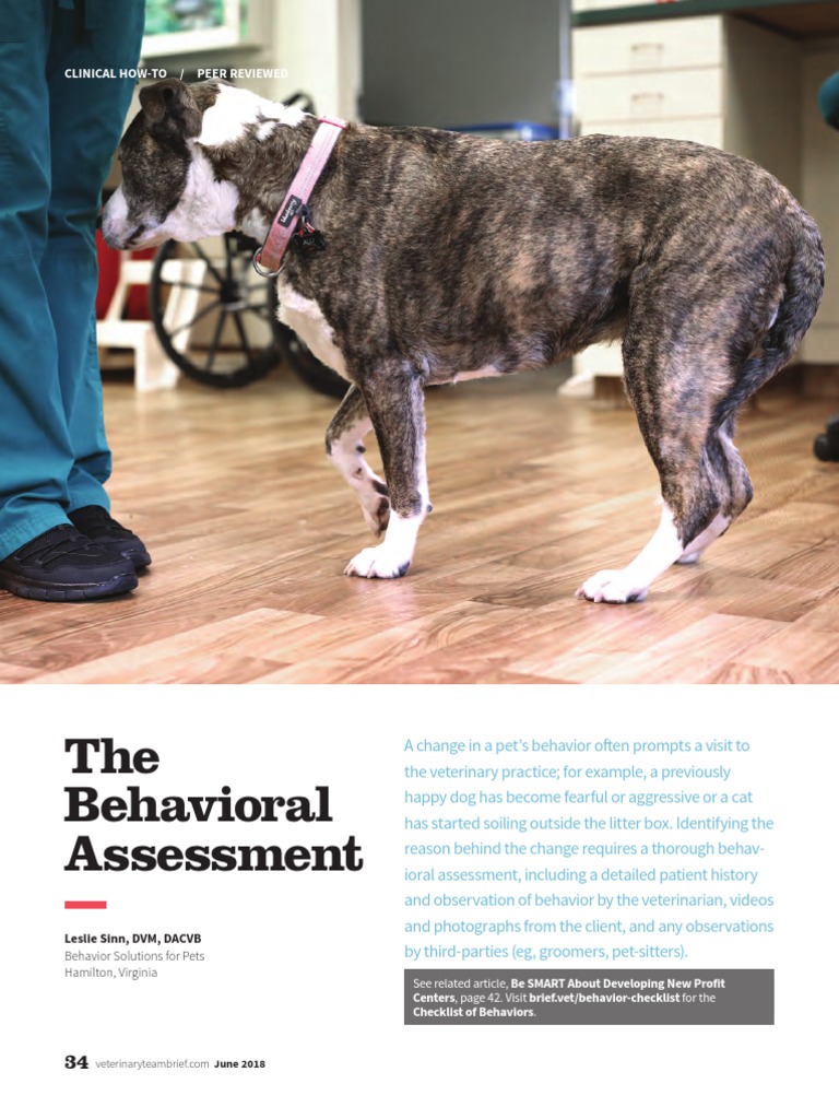 The Behavioral Assessment | PDF | Physical Examination | Dogs