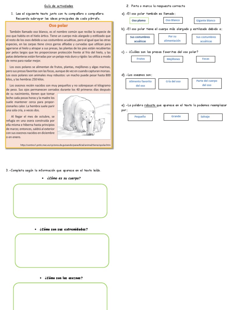 Guía de Actividades sobre Oso Polar y Huemul | PDF | Oso polar | Osos
