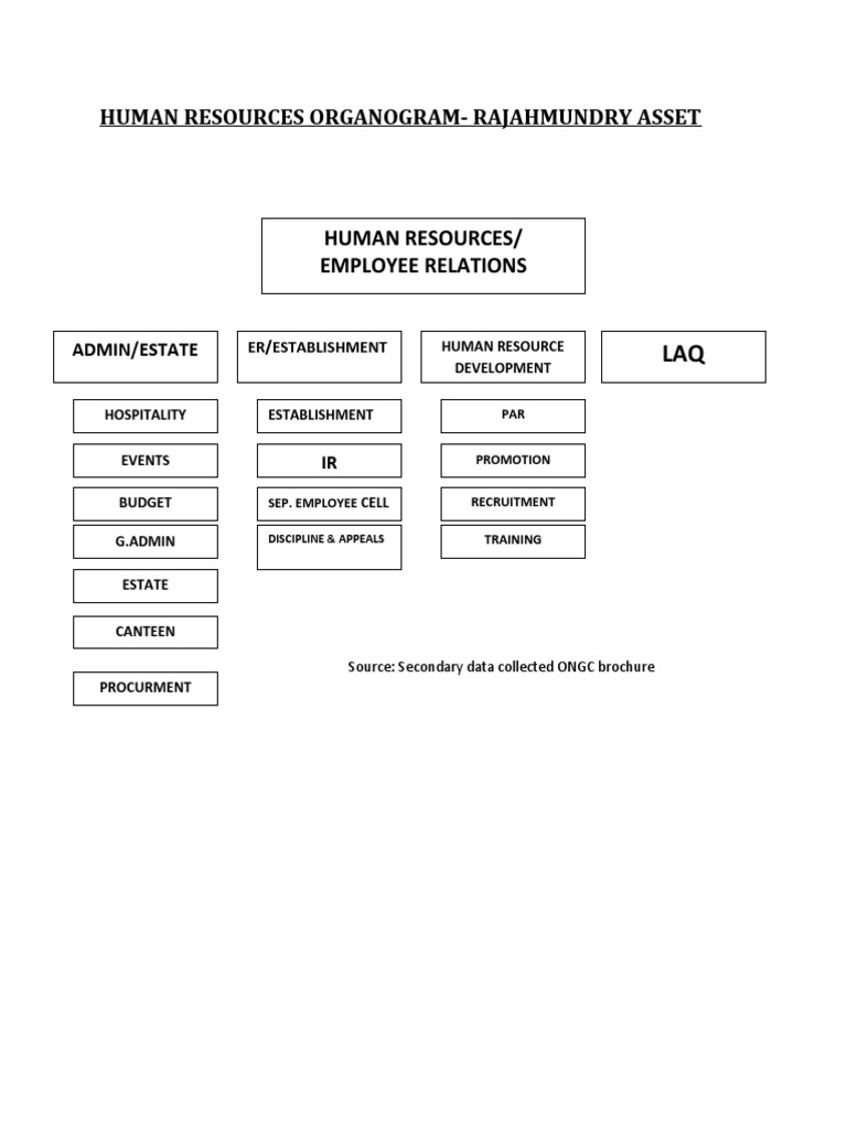 ONGC Rajahmundry HR Organogram | PDF | Systems Psychology | Control ...