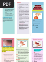 Tríptico NOM 022 SSA3 2012 | PDF | Enfermedades y trastornos | Cuidado de la salud