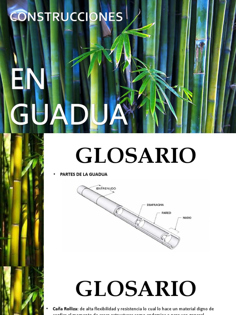 La Guadua en La Construccion | PDF | Fundación (Ingeniería) | Tallo de ...