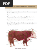 Triadan Tooth Numbering System | PDF