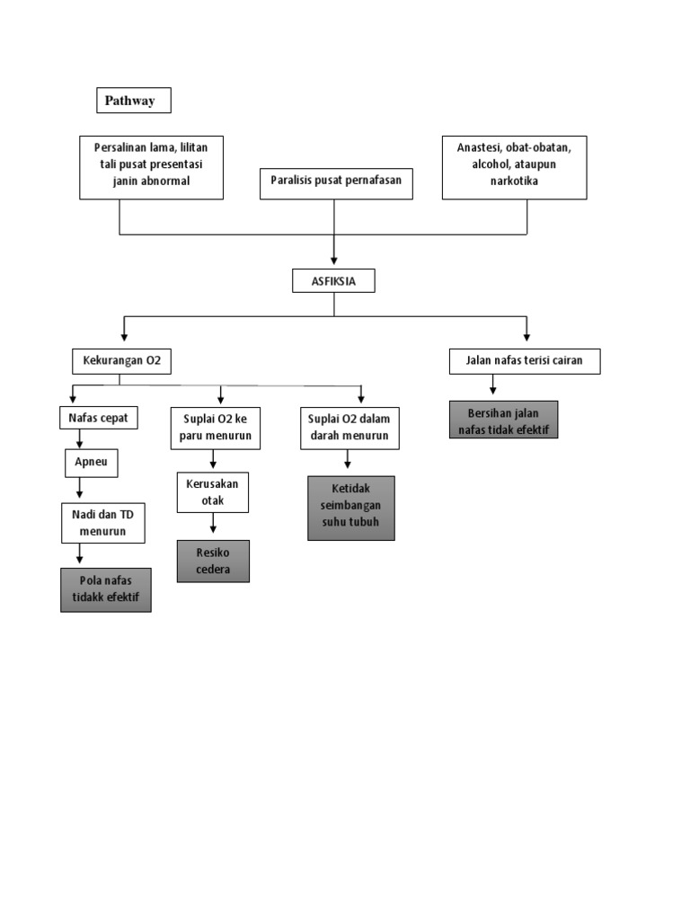 Pathway Asfiksia | PDF