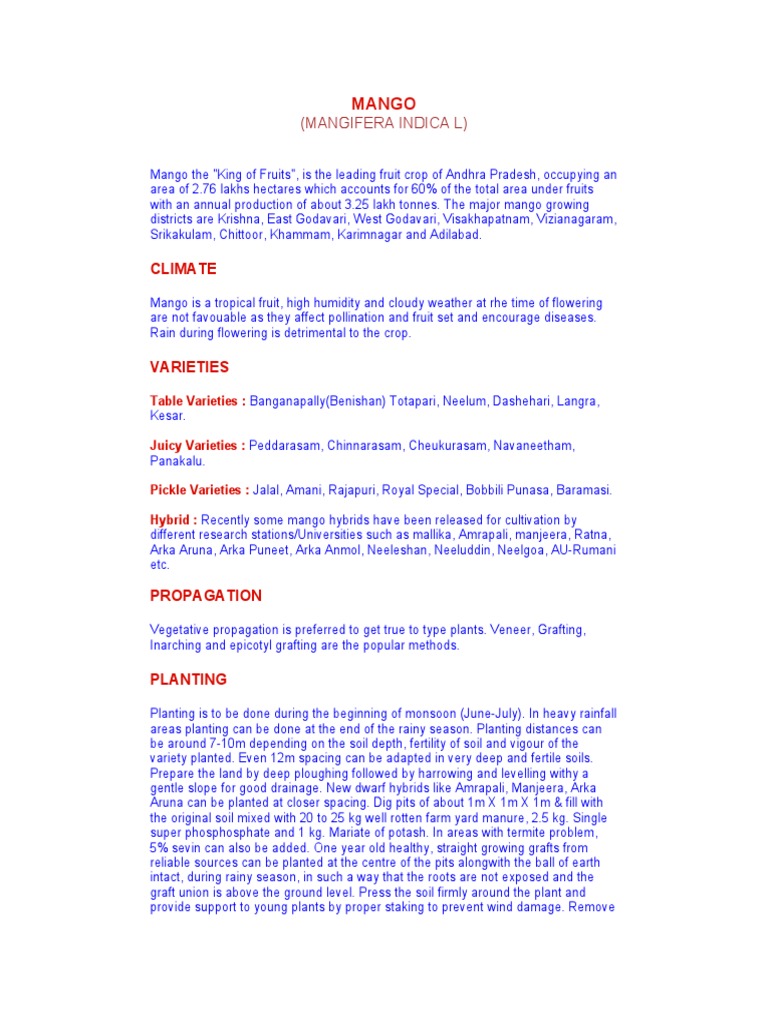 An In-Depth Guide to Growing Mango Trees (Mangifera indica L.) in ...