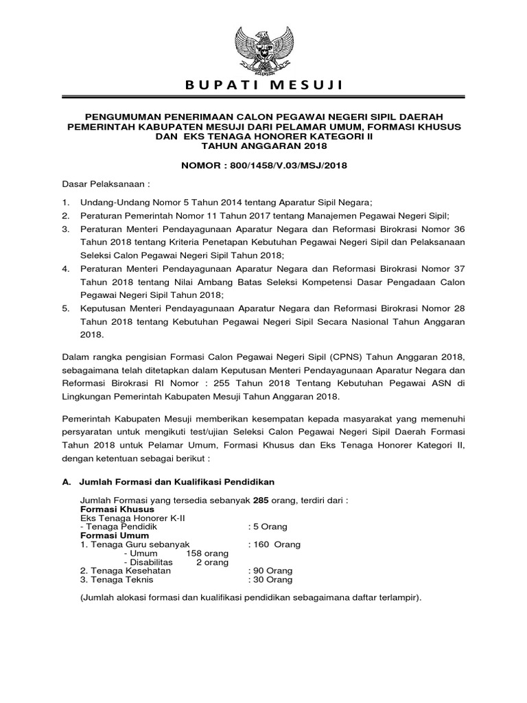 Pengumuman Pengadaan CPNS Formasi 2018 Mesuji PDF | PDF