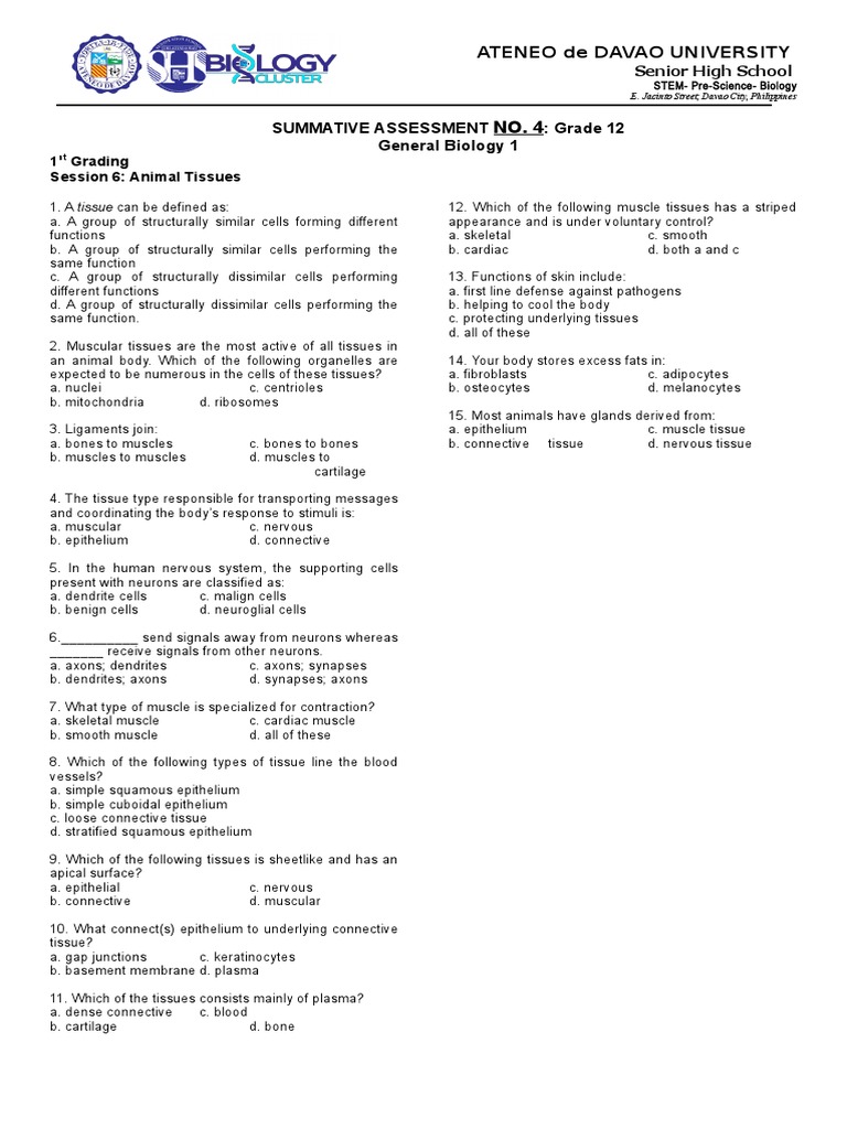 (QUIZ) Animal Tissues 1 | PDF | Epithelium | Tissue (Biology)