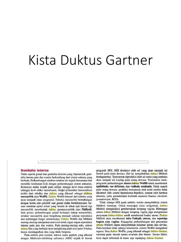 LO Kista Duktus Gartner | PDF