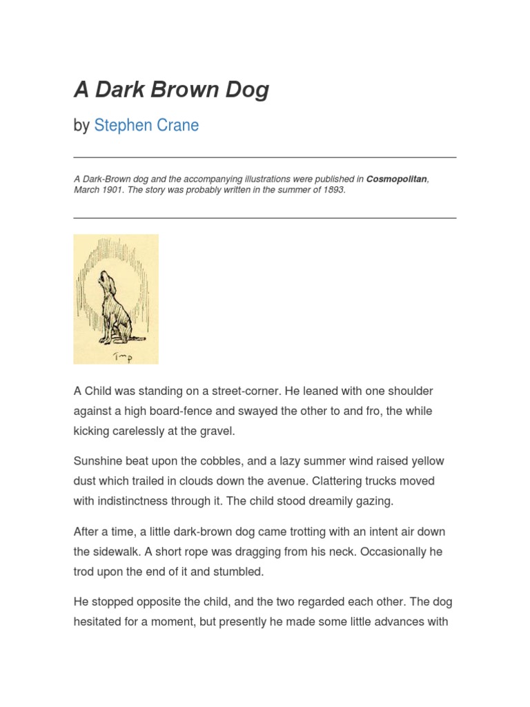 A Dark Brown Dog | PDF