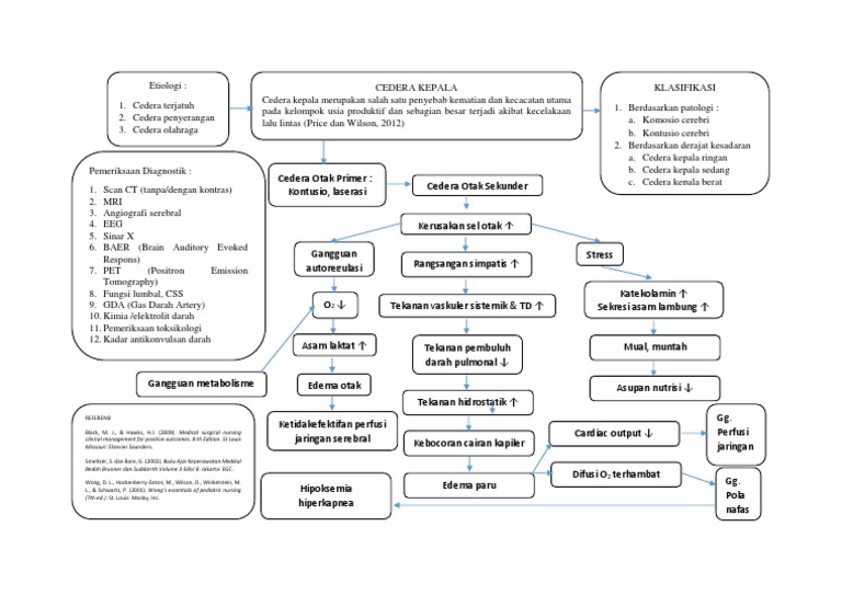 Pathways Cedera Kepala | PDF
