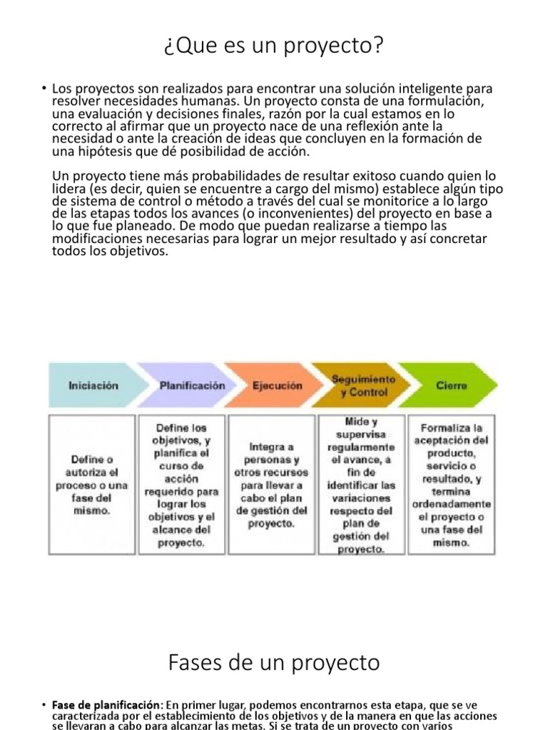 Que Es Un Proyecto | PDF