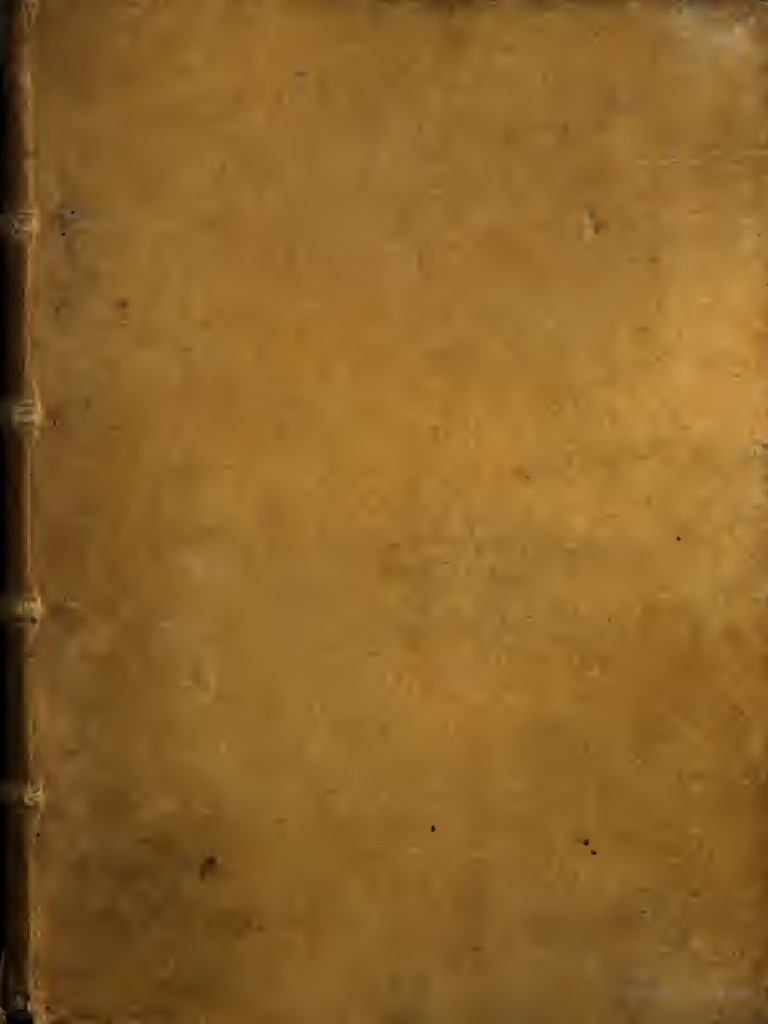 Sigismundo Scaccia - Tractatus de Appellationibus in Duas Partes ...