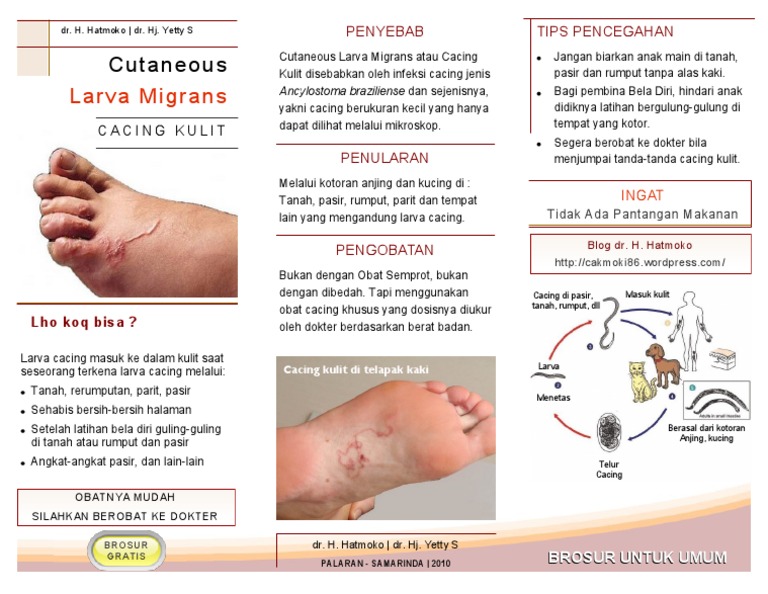 Cutaneous Larva Migrans | PDF