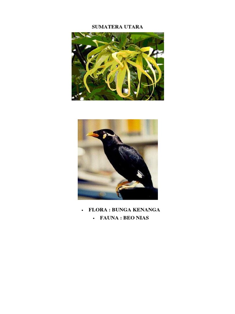 Maskot Flora Dan Fauna | PDF