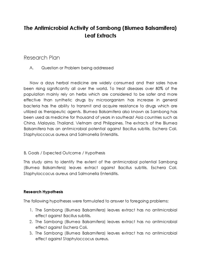 1 Research Plan - The Antimicrobial Activity of Sambong | PDF | Antimicrobial | Staphylococcus